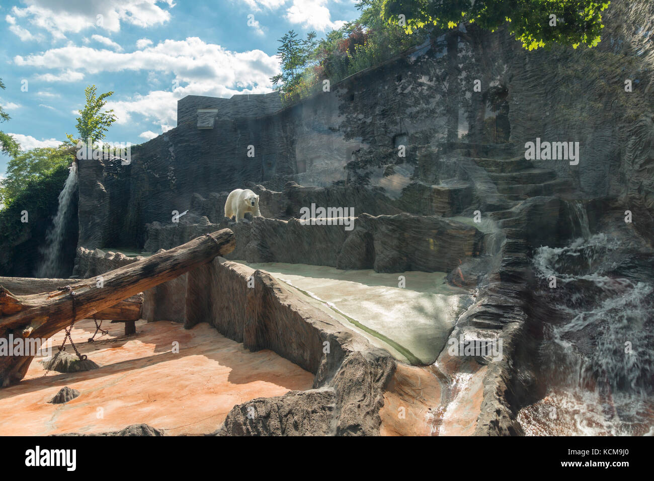 Prague zoo hi-res stock photography and images - Alamy
