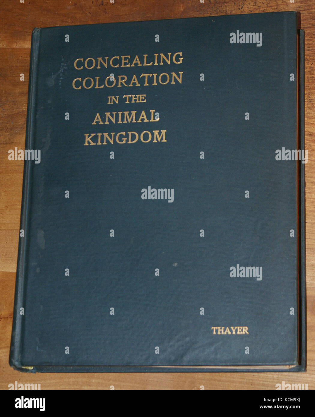 Concealing coloration hi-res stock photography and images - Alamy