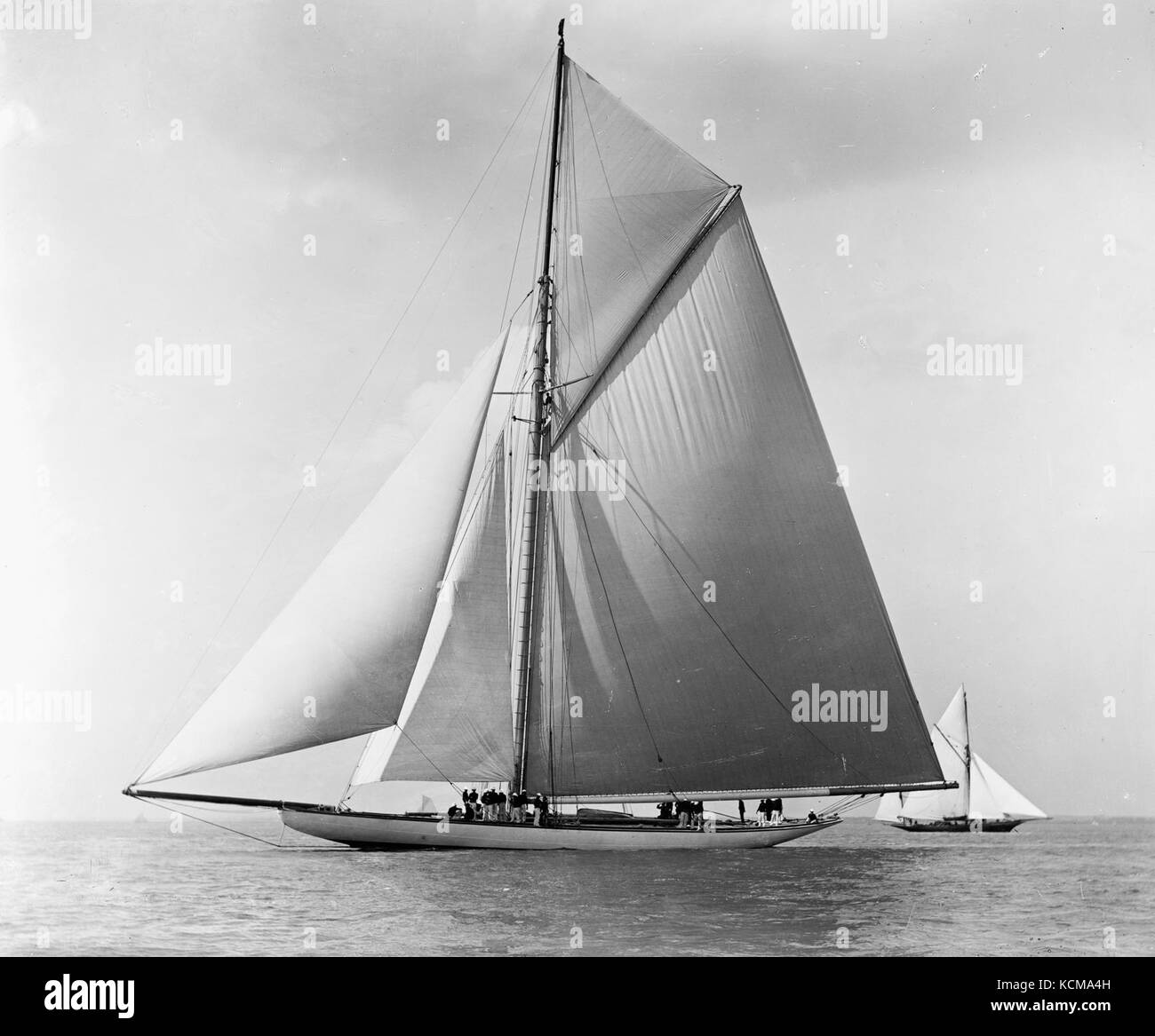 Shamrock line art Black and White Stock Photos & Images - Alamy