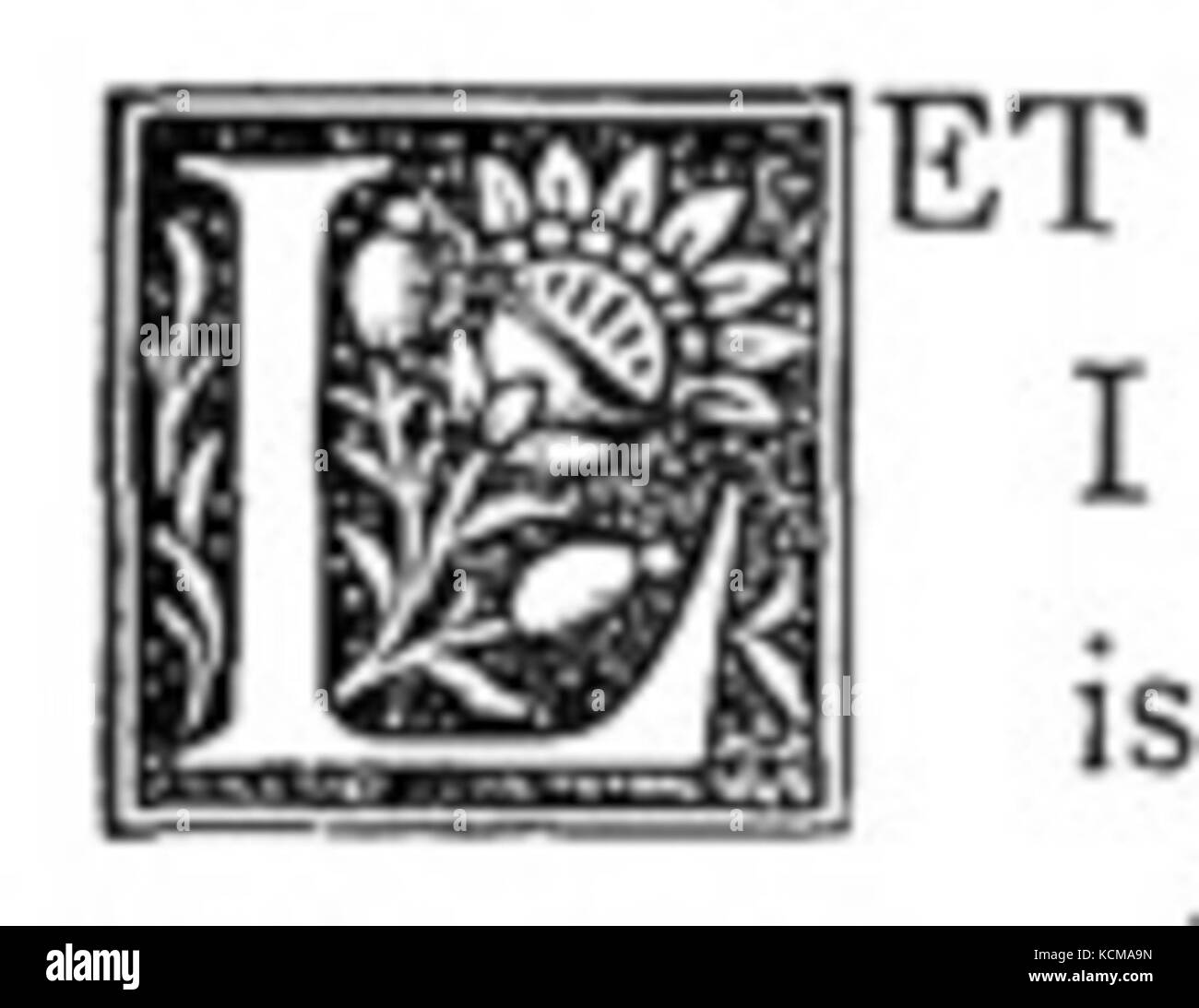 Drop Cap L Image Stock Photo - Alamy