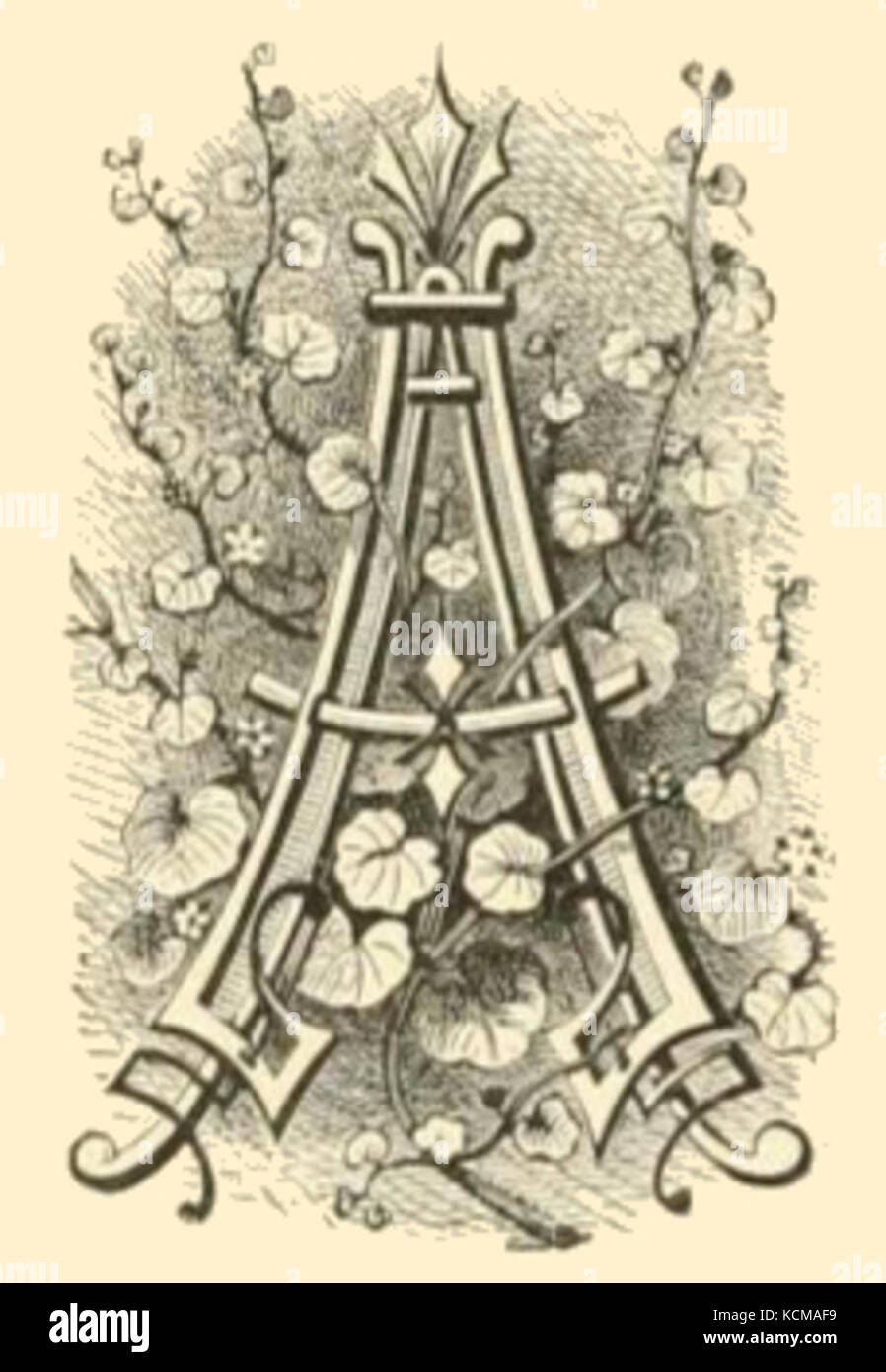 Fancy Letter A Image Stock Photo - Alamy