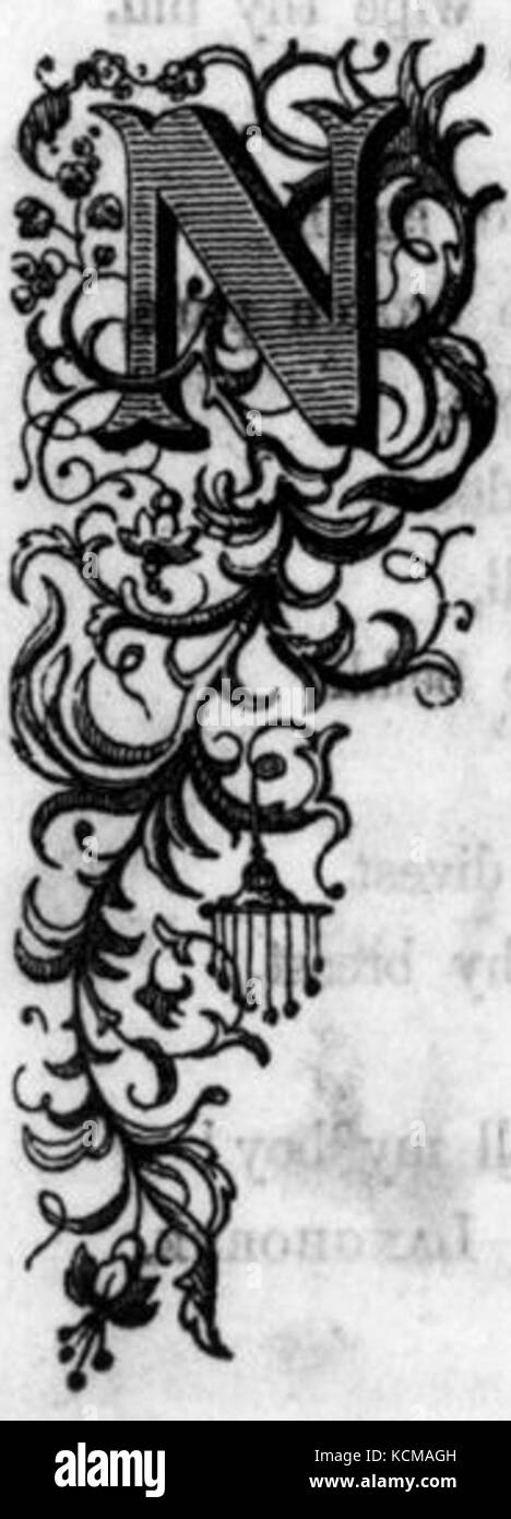 Fancy Letter N Image Stock Photo - Alamy