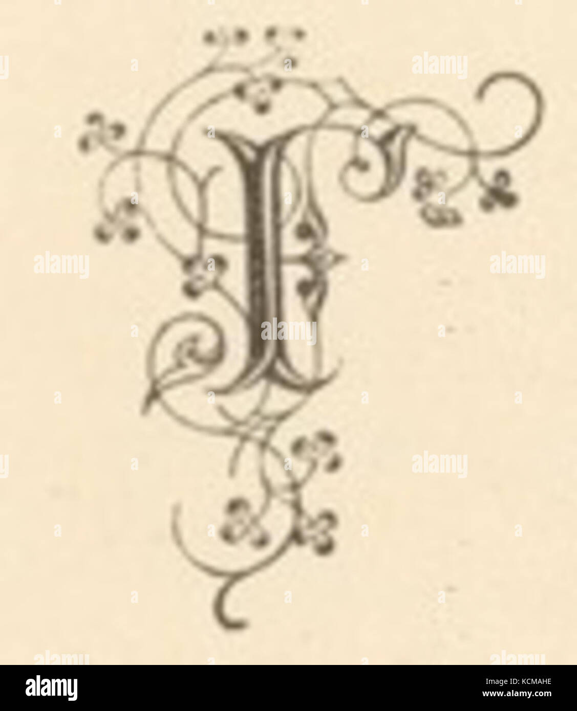 Fancy Letter F Stock Photo - Alamy