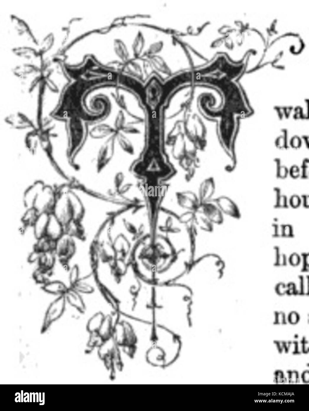 Floral Drop Cap T Stock Photo - Alamy