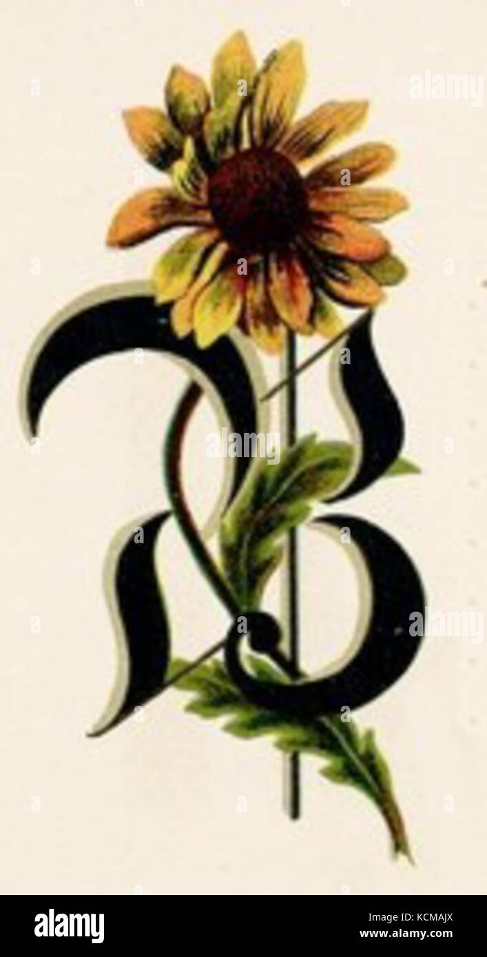 Fancy Letter B Image Stock Photo - Alamy