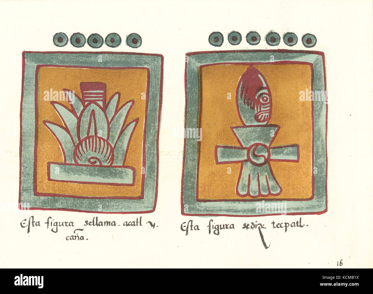 Codex Magliabechiano (folio 16r Stock Photo - Alamy