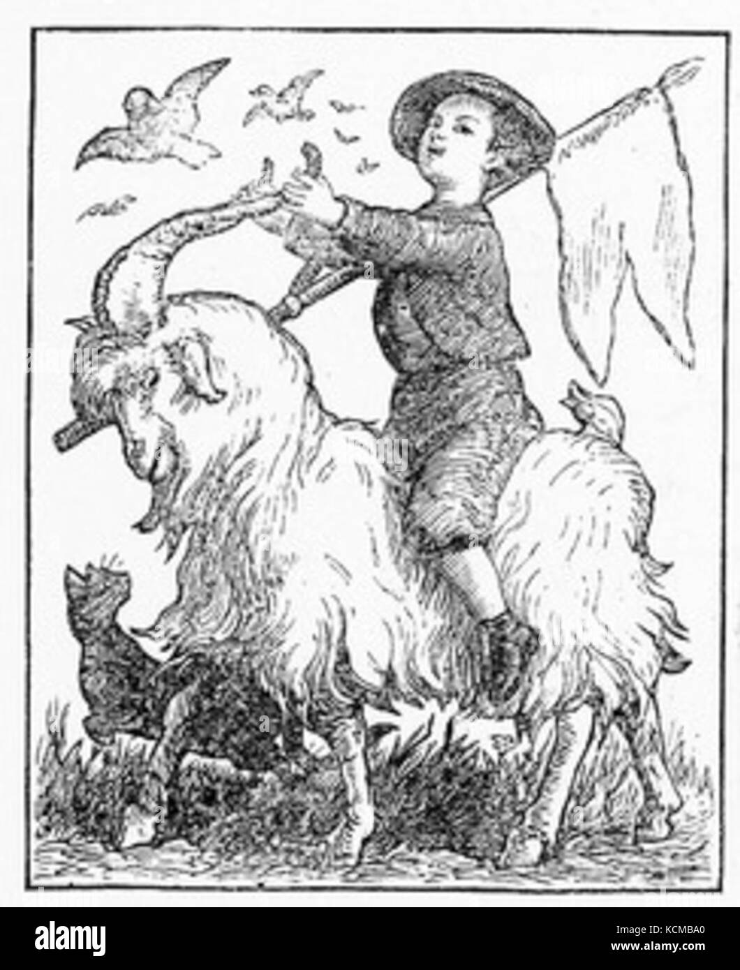 Goat at the farm Black and White Stock Photos & Images - Alamy