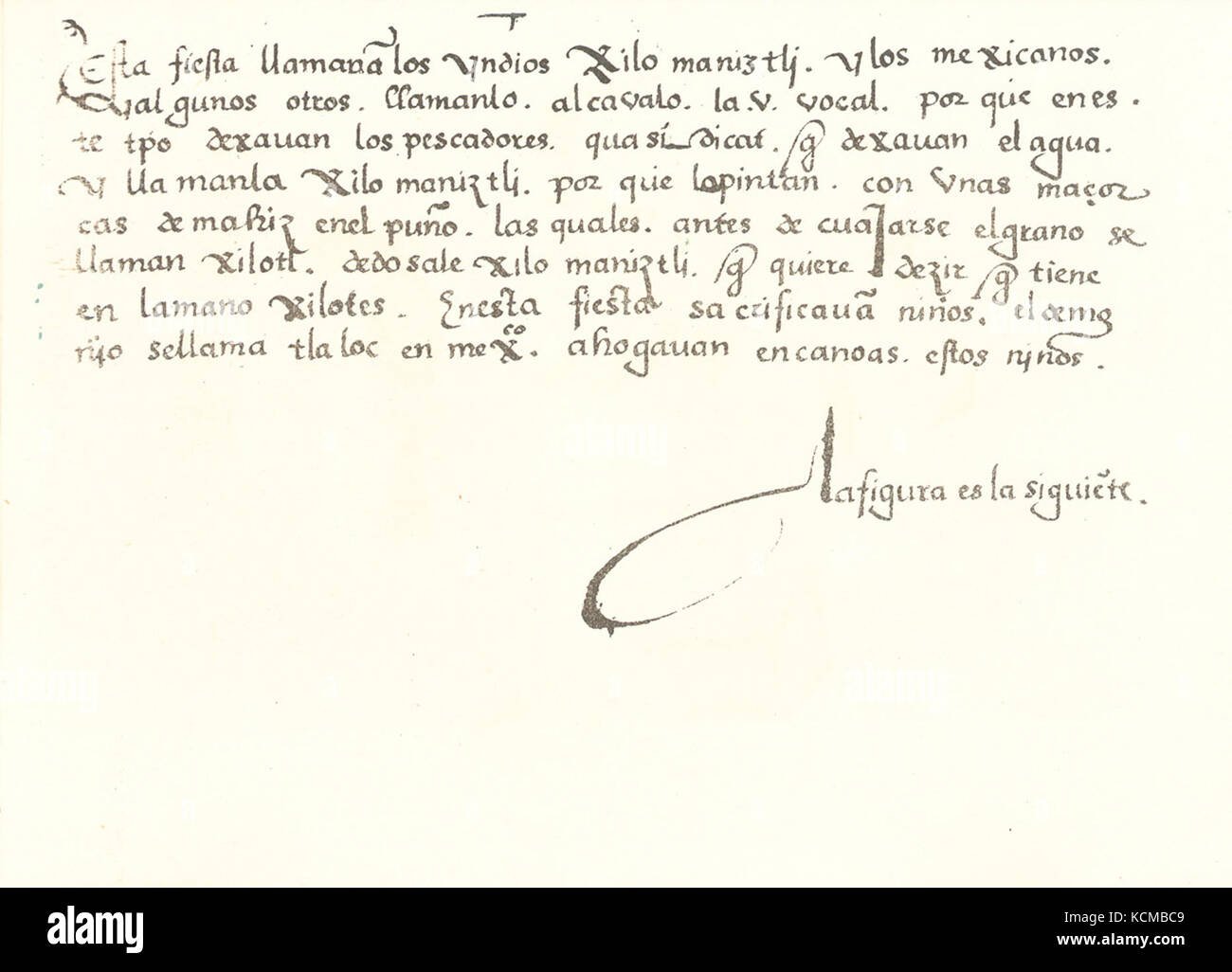 Nahuatl book hi-res stock photography and images - Alamy