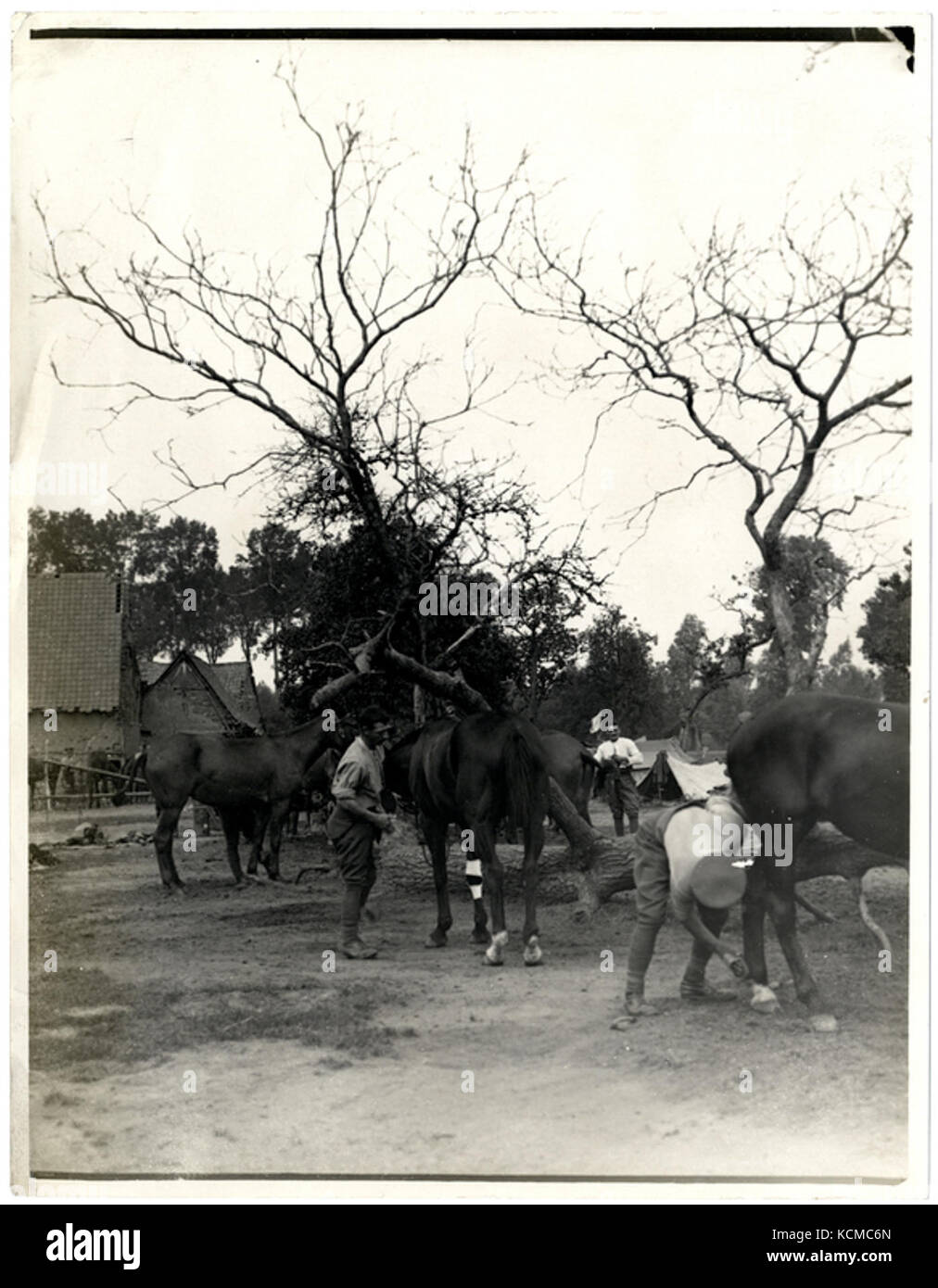 Cavalry line hi-res stock photography and images - Alamy