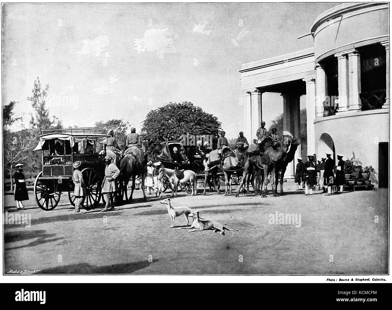 Camel carriage hi-res stock photography and images - Alamy