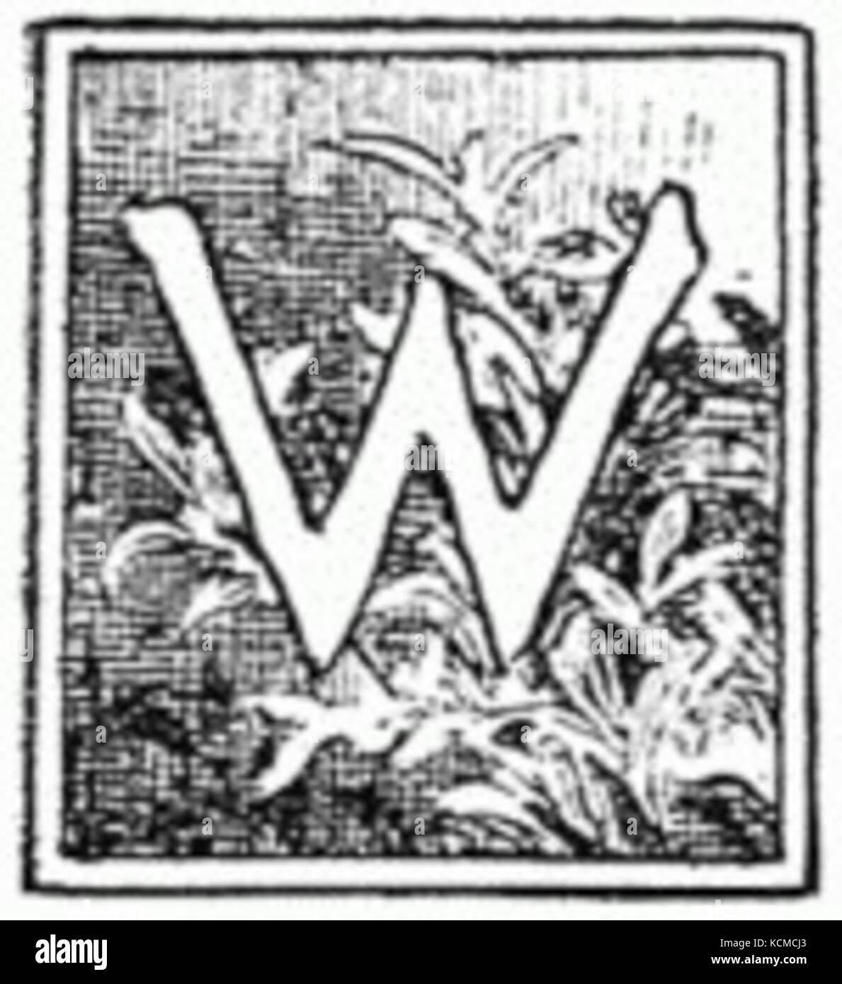 Capital w hi-res stock photography and images - Alamy