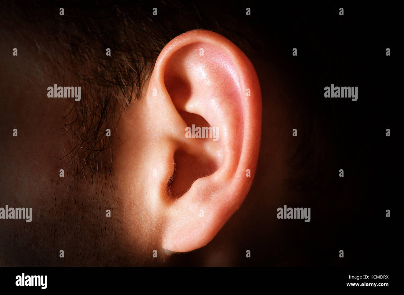 Ear Drum Stock Photos & Ear Drum Stock Images - Alamy