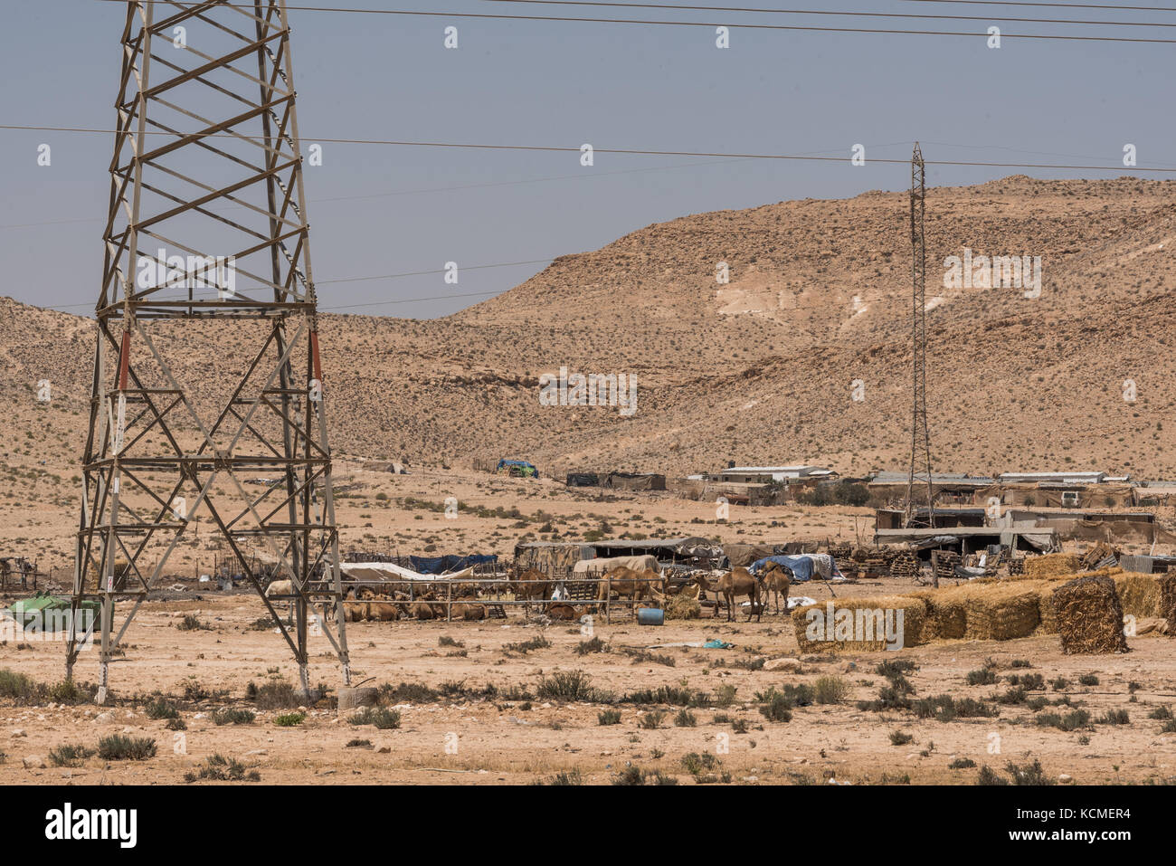 Bedouin camp in the Negev desert, Israel Stock Photo - Alamy