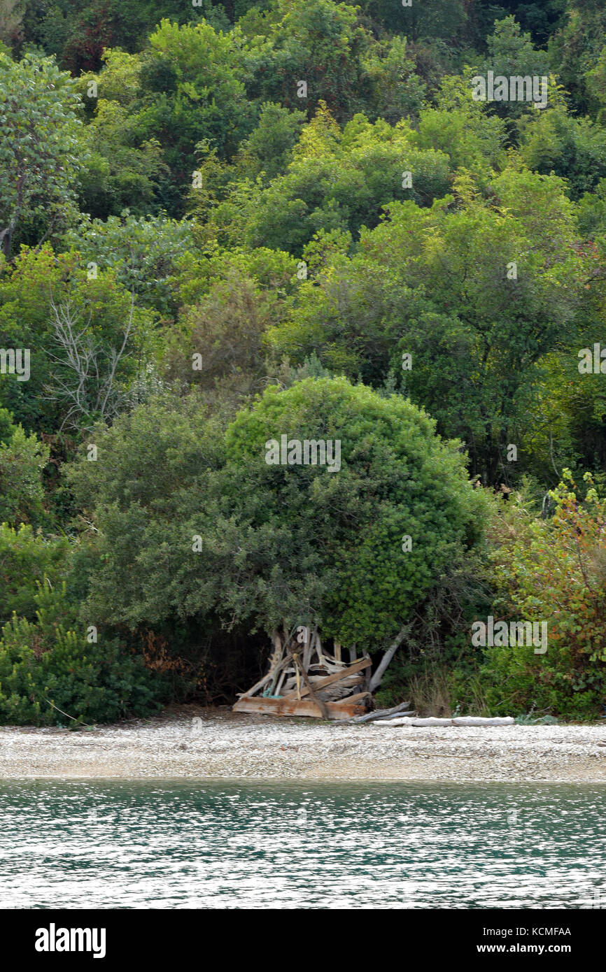 A beautiful green forest or woods meeting the beach on the shoreline on ...