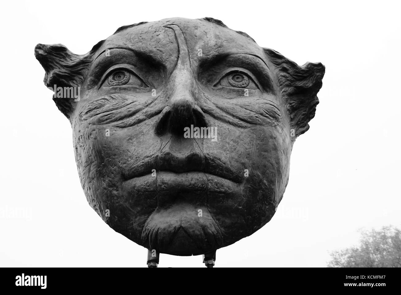 Timaru hi-res stock photography and images - Alamy