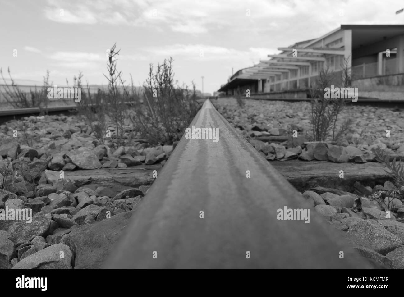 Timaru new zealand hi-res stock photography and images - Alamy