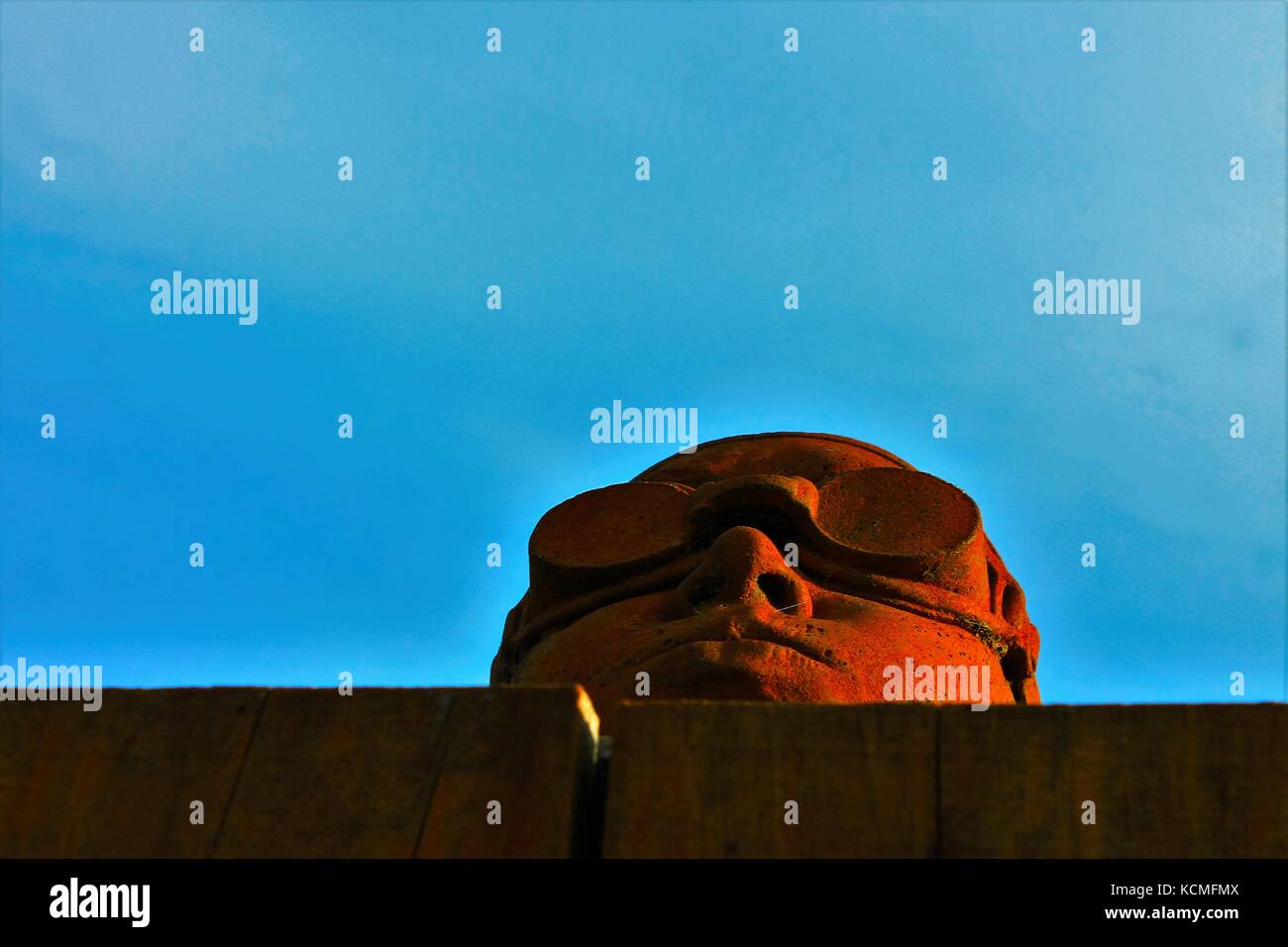Peeking over the fence Stock Photo - Alamy