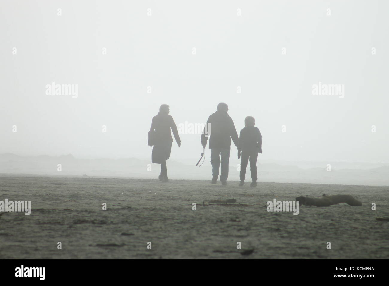 Family in the mist Stock Photo - Alamy