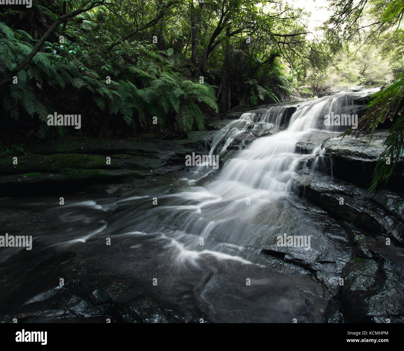 Smooth flowing water over rocks in the lush rainforest of Blue ...
