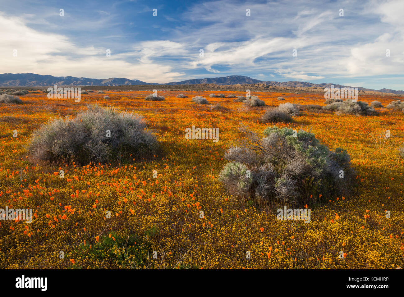 Antelope valley hi-res stock photography and images - Alamy
