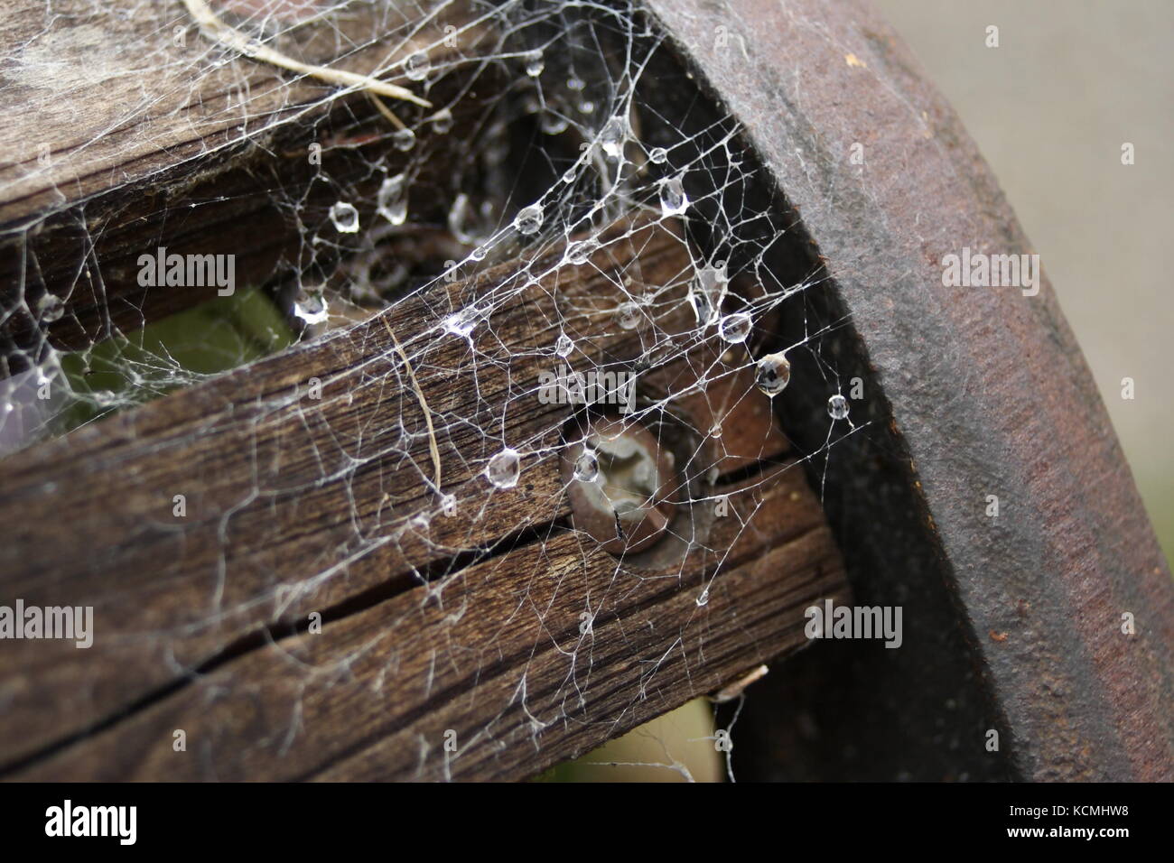 Spider web with raindrops on an old park bench Stock Photo - Alamy