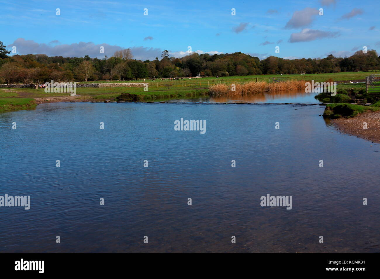 The well known ancient river crossing at Ogmore village castle ruins ...