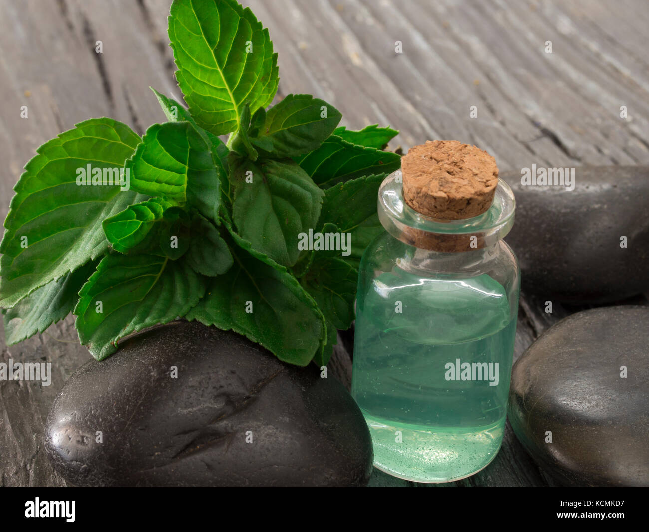 fresh mint leaves Stock Photo - Alamy
