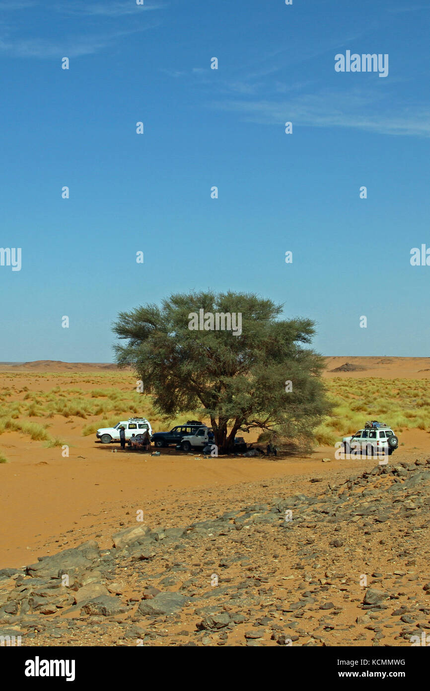 Camping under a tree, Sahara Desert, Libya, 2010 Stock Photo - Alamy