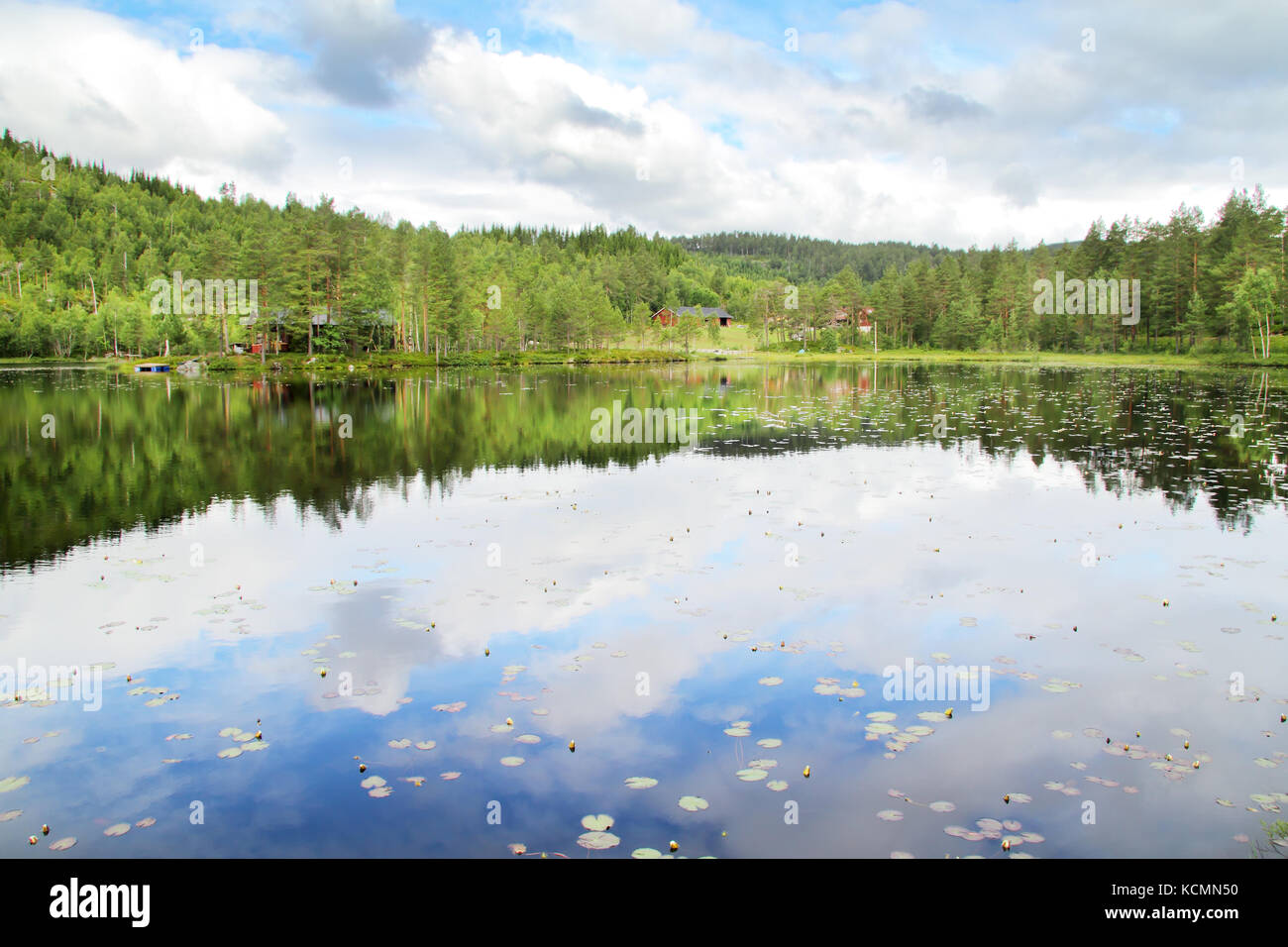 Norway landscape summer forest hi-res stock photography and images - Alamy