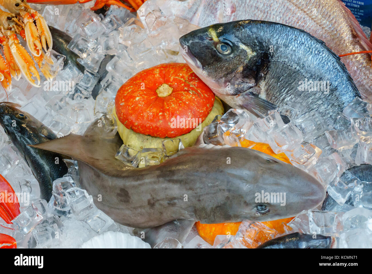 Seafood on ice at the fish market Stock Photo - Alamy
