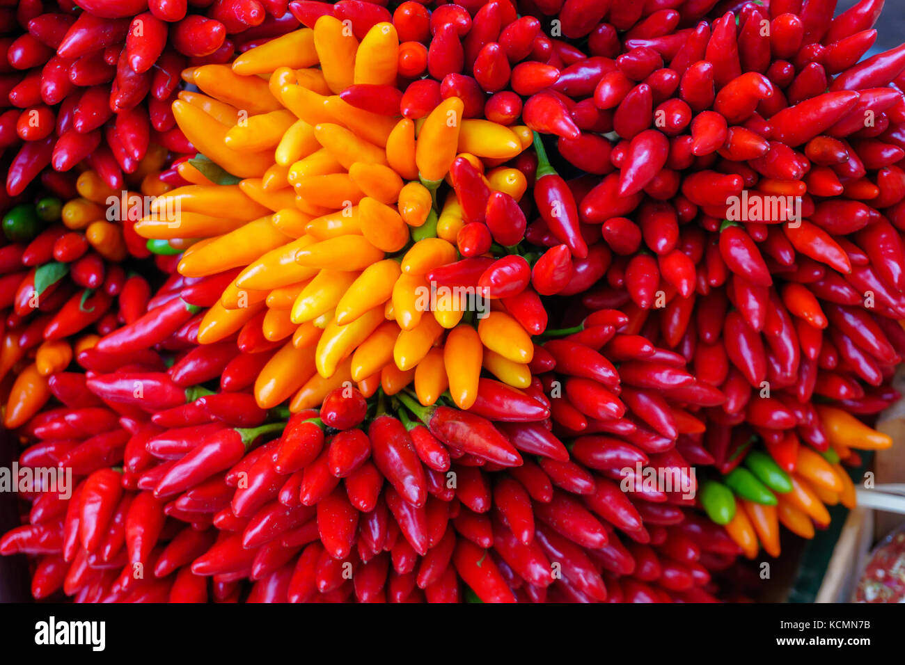 Red Chillies Background color image Stock Photo - Alamy