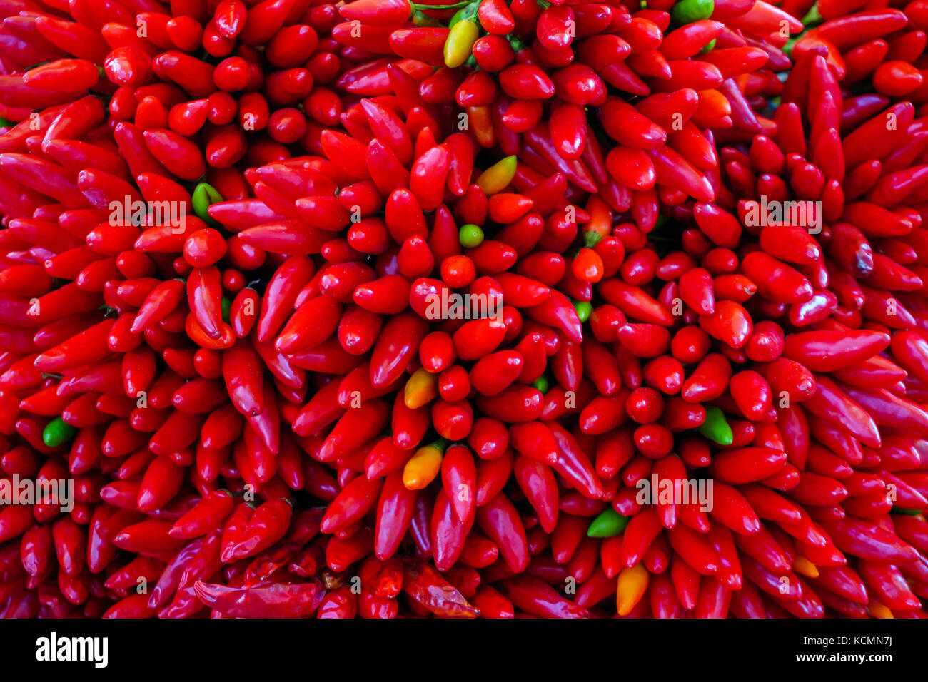 Red Chillies Background color image Stock Photo - Alamy
