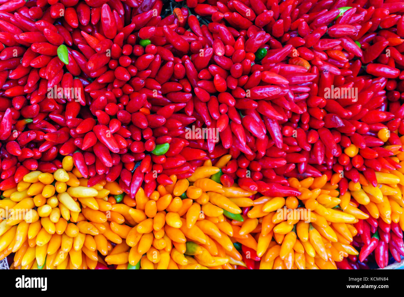 Red Chillies Background color image Stock Photo - Alamy