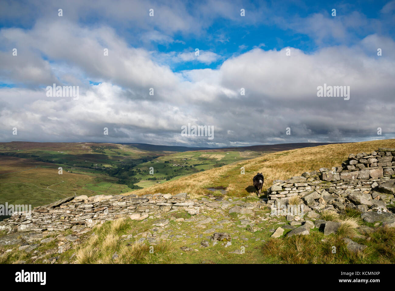Yorkshire border stone hi-res stock photography and images - Alamy