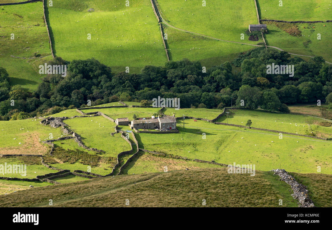Farm house and green fields in Arkengarthdale, North Yorkshire, England ...