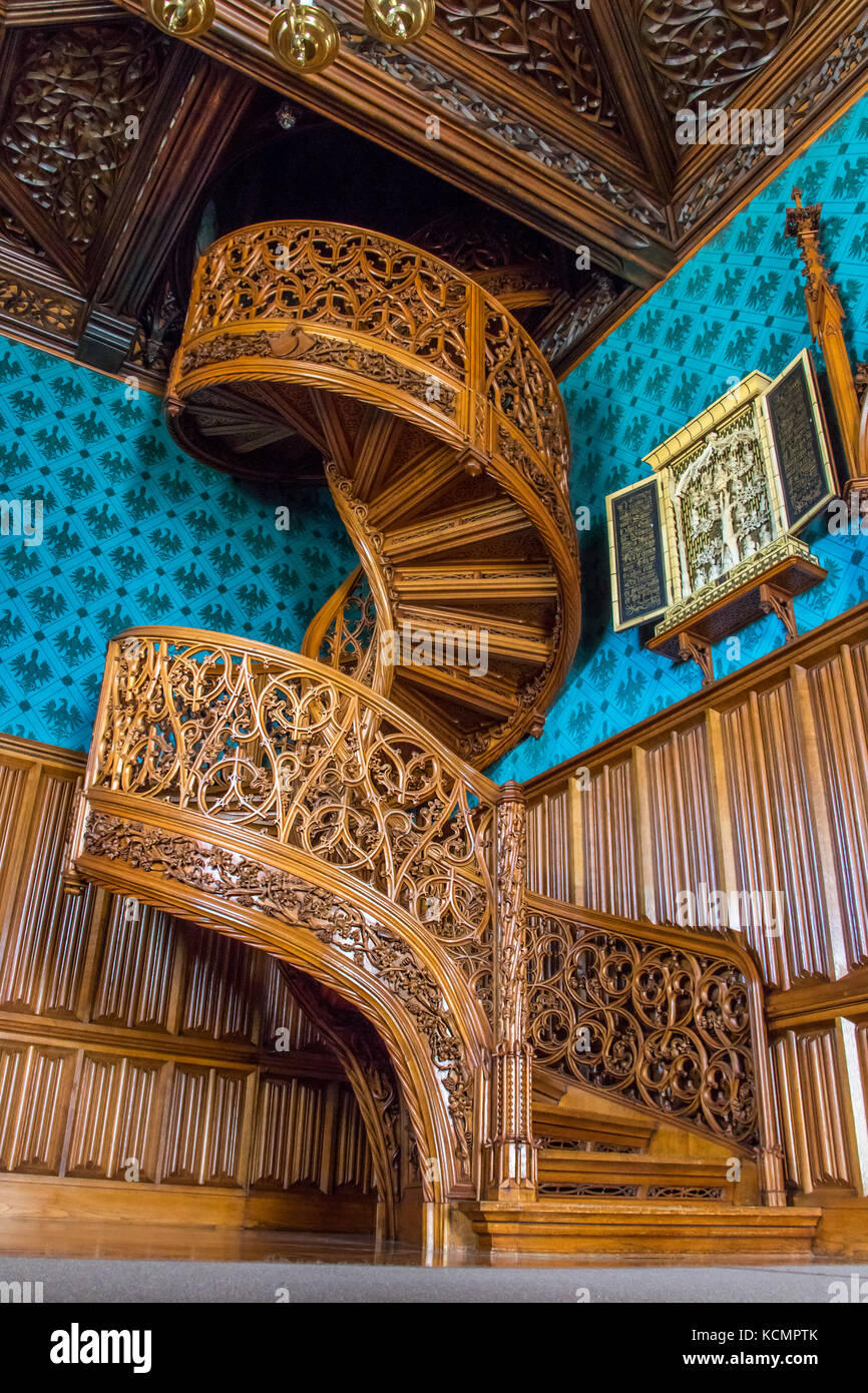 A spiral staircase carved from one a tree from y.1851, a library at ...