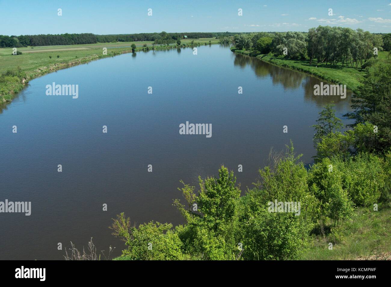Bug River. Poland wschodnia.Dolina river with trees growing on the ...
