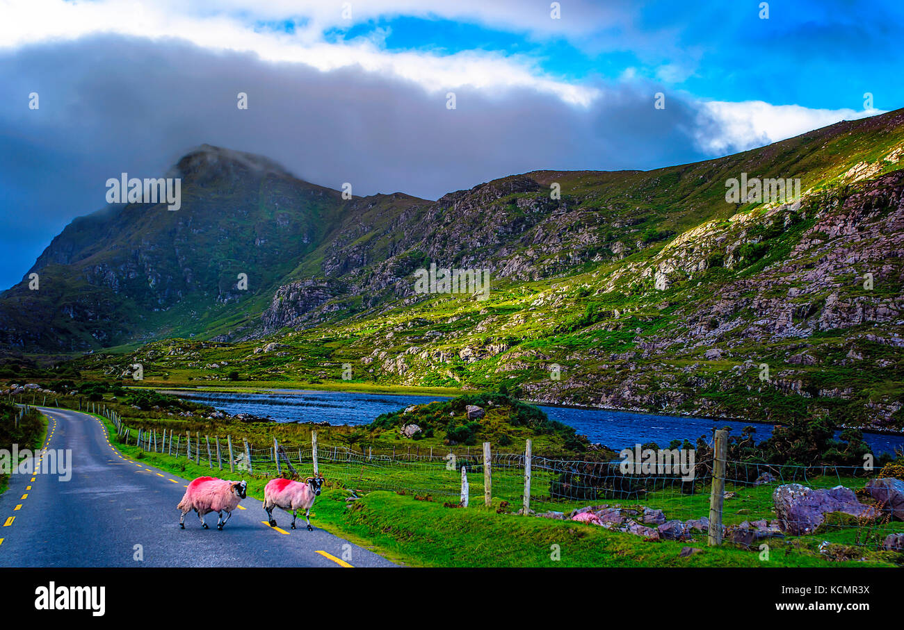 A View of wonderful Ireland beautiful countryside environment Stock ...
