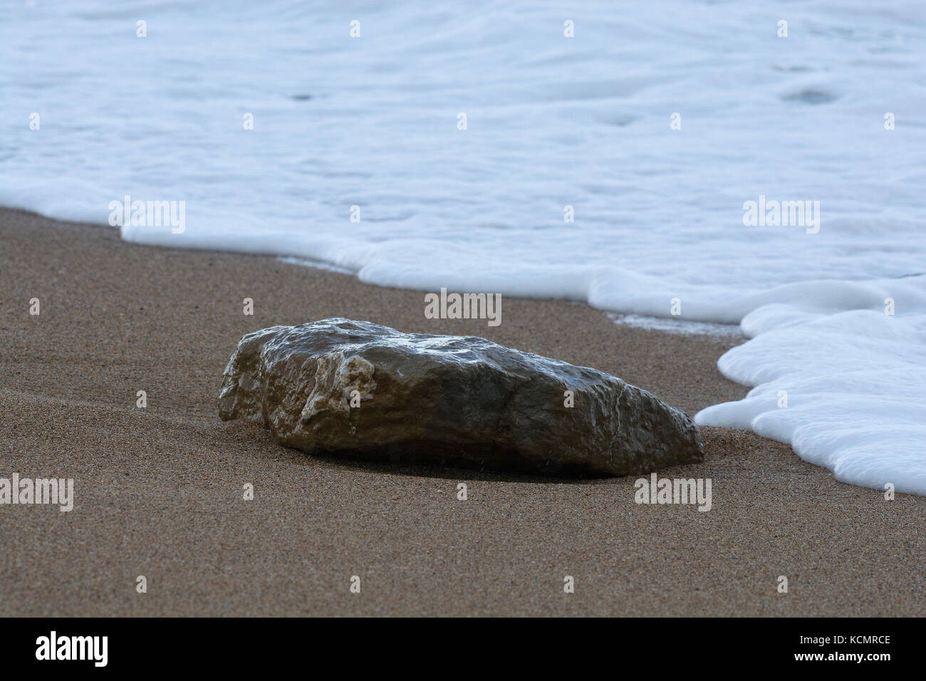 Algal foam on beach hi-res stock photography and images - Alamy