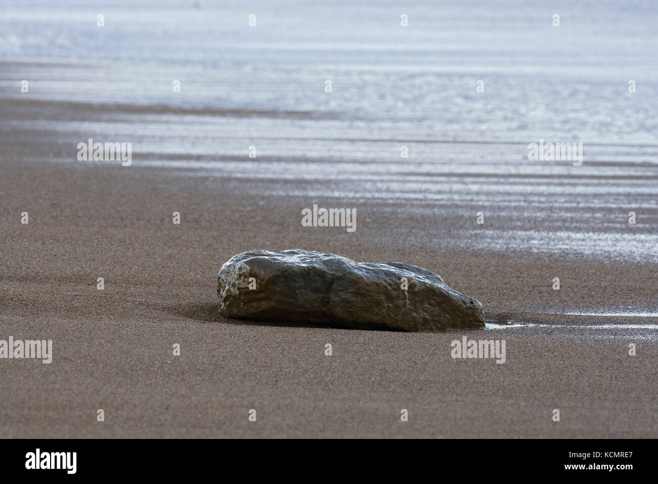 Algal foam on beach hi-res stock photography and images - Alamy