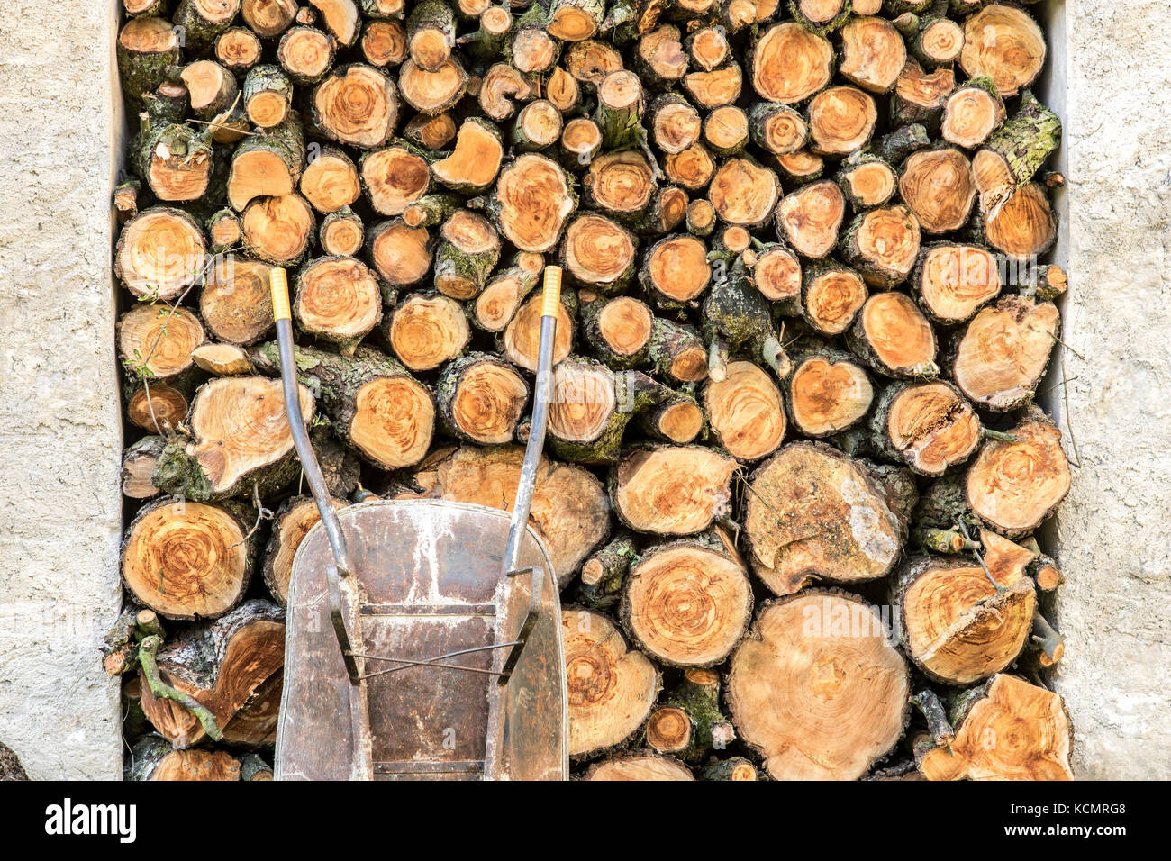 Heap of wood logs ready for winter. Stack of chopped firewood. A pile ...