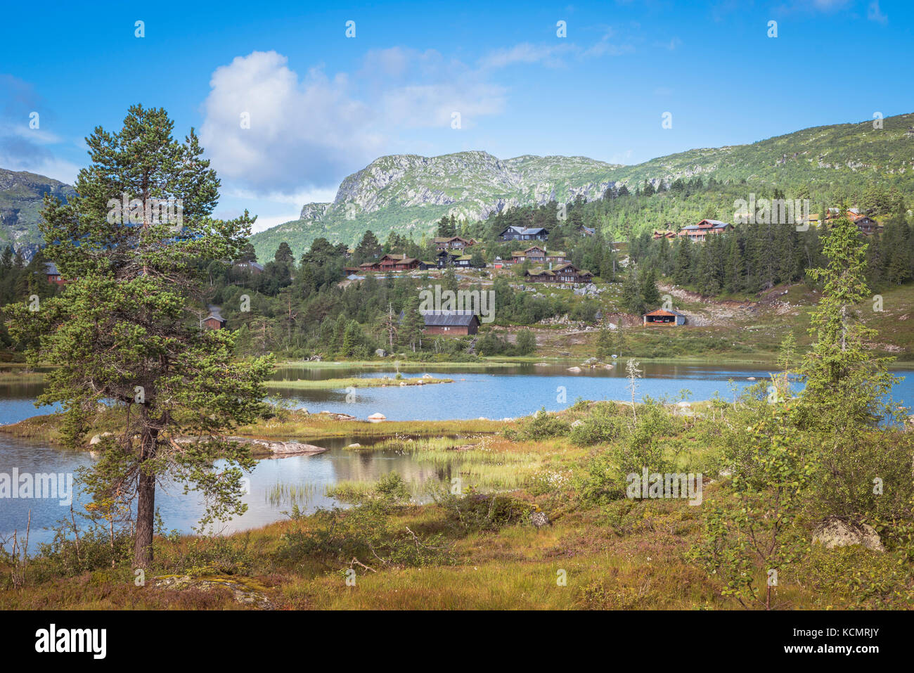 Norway green plains hi-res stock photography and images - Alamy