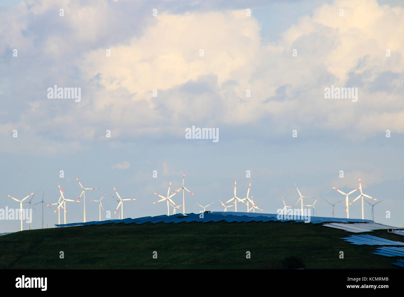 Landscape with wind farm near the town of Magdeburg, Germany Stock ...
