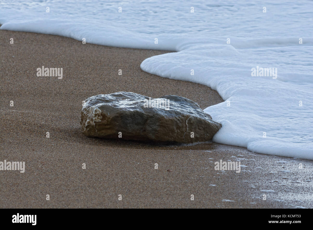 Algal foam on beach hi-res stock photography and images - Alamy
