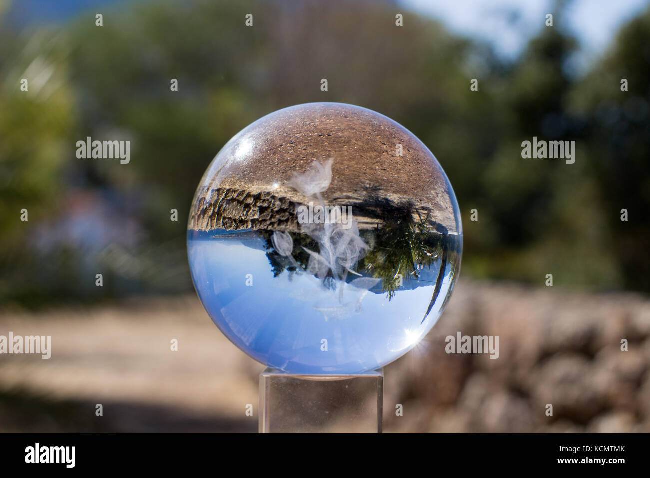 reflection of a forest and sky landscape through a crystal ball Stock ...