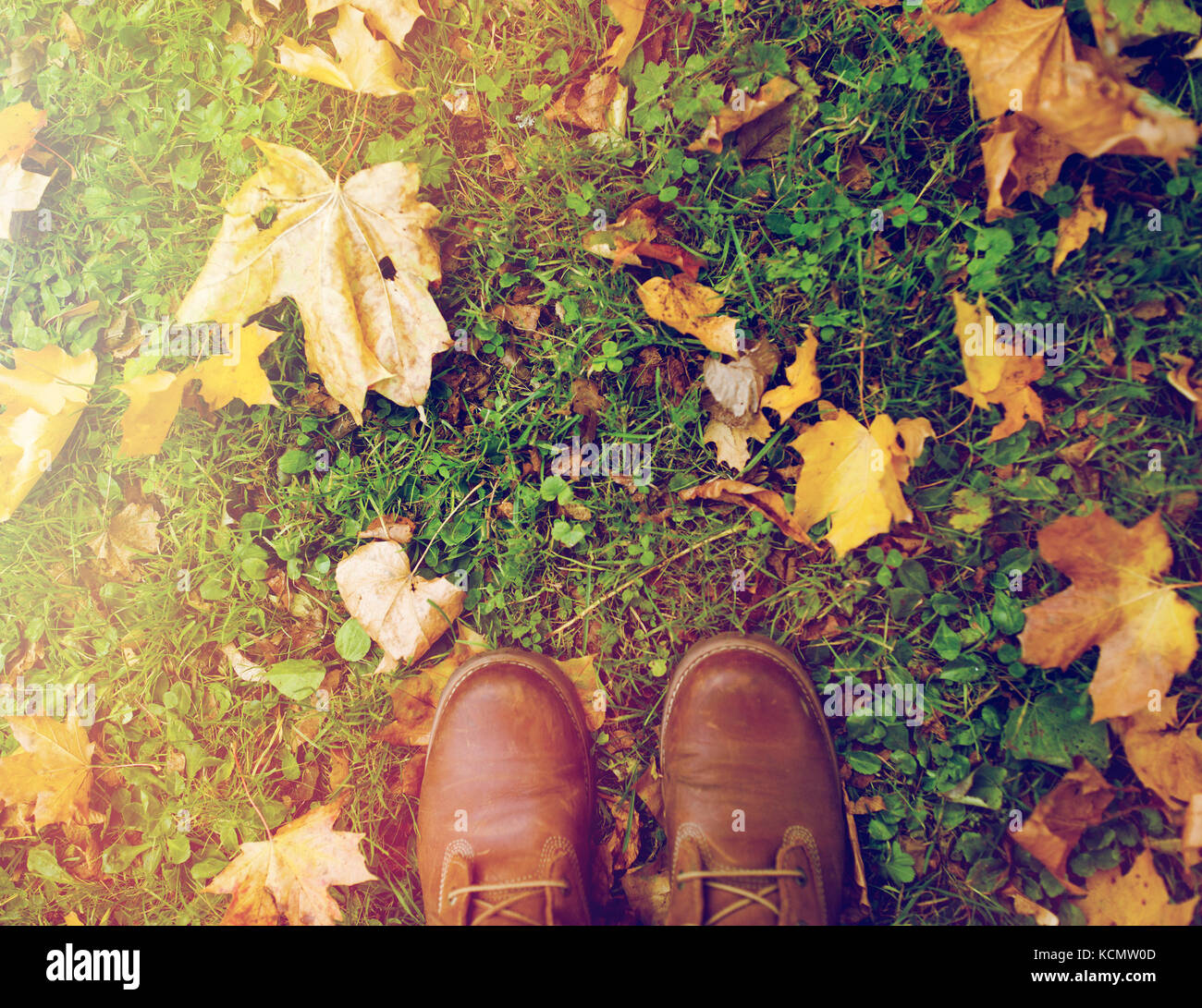 feet in boots and autumn leaves on grass Stock Photo - Alamy