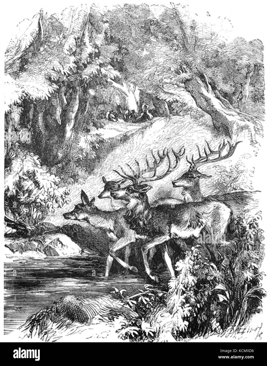 Sketches small Black and White Stock Photos & Images - Alamy