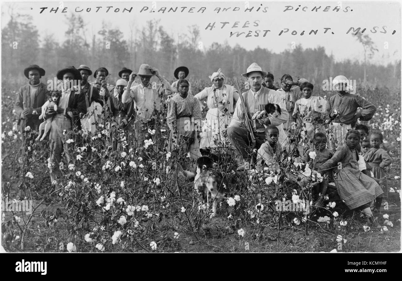 Cotton planter hi-res stock photography and images - Alamy