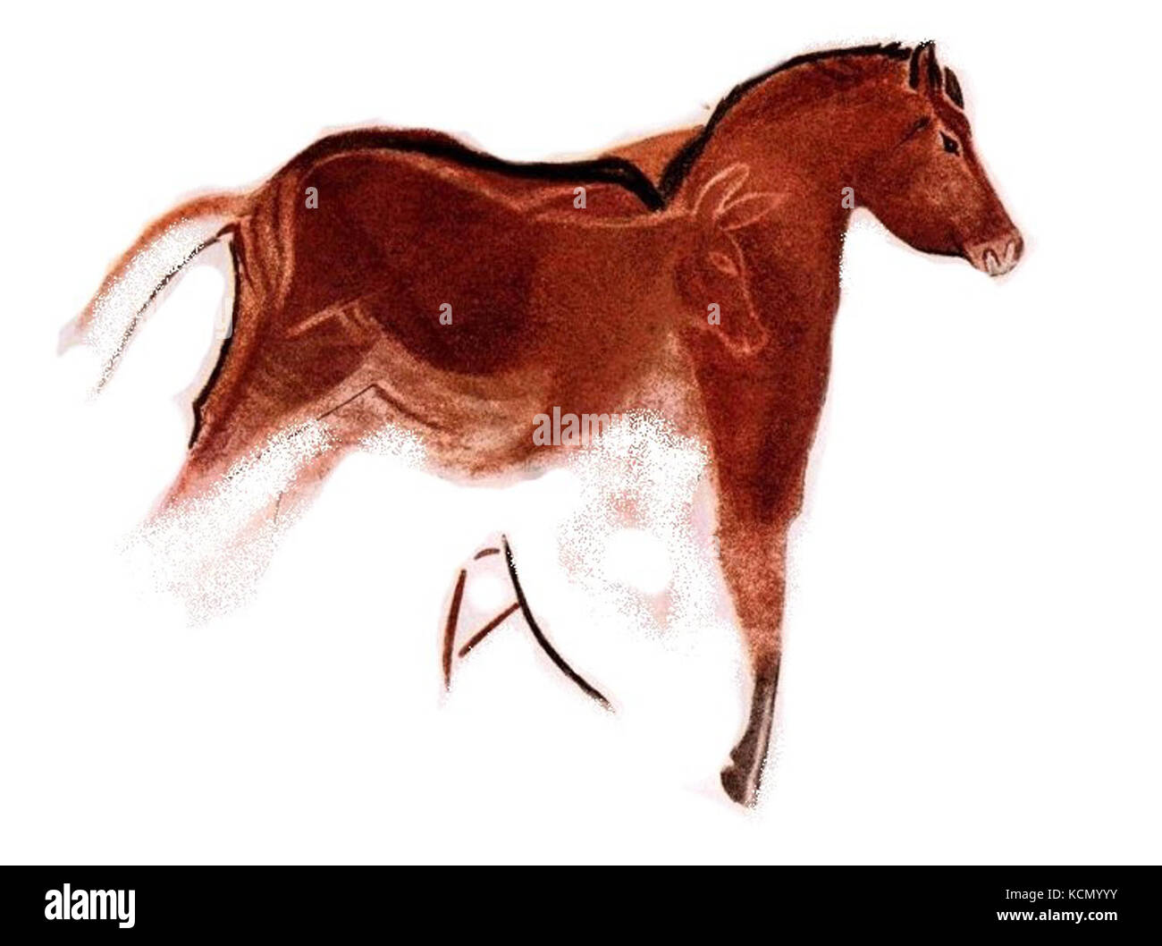 Cave of altamira and paleolithic cave art of northern spain hi-res ...
