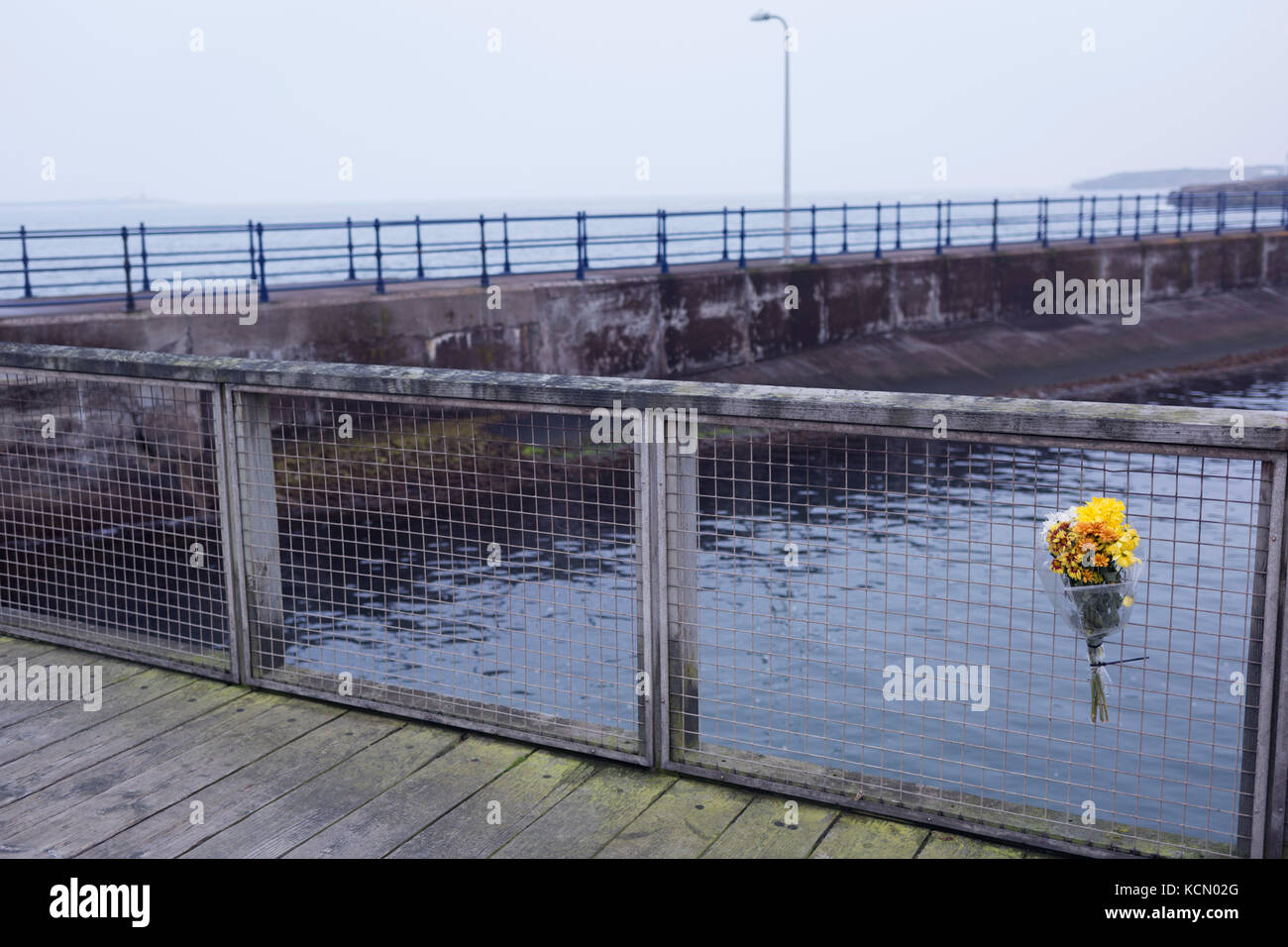 A single sad bouquet of dying flowers are attached to the fence of a ...